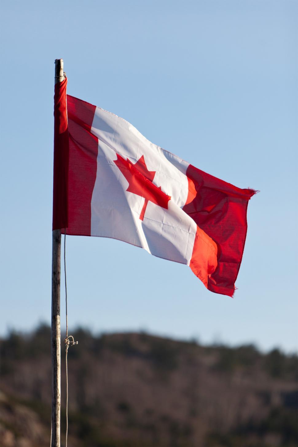 Free Stock Photo of Canadian Flag | Download Free Images and Free ...