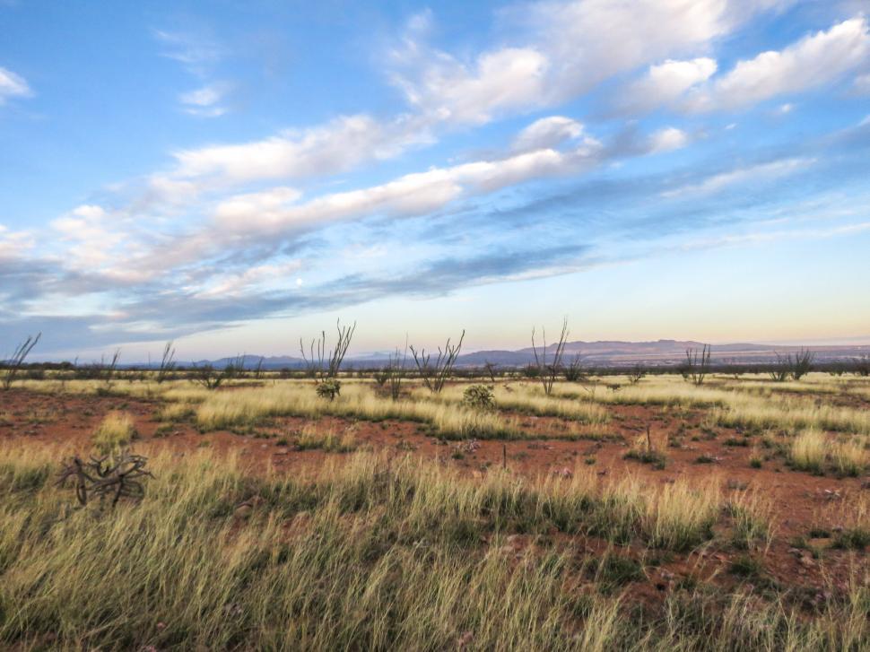 Free Stock Photo of Desert field | Download Free Images and Free ...