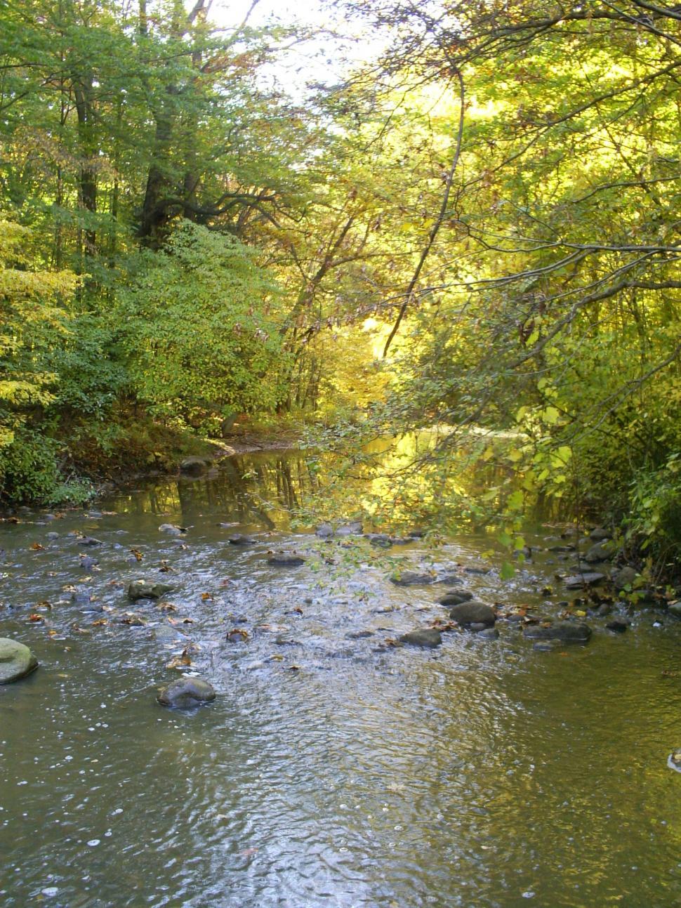 Free Stock Photo of Fall Walk | Download Free Images and Free Illustrations