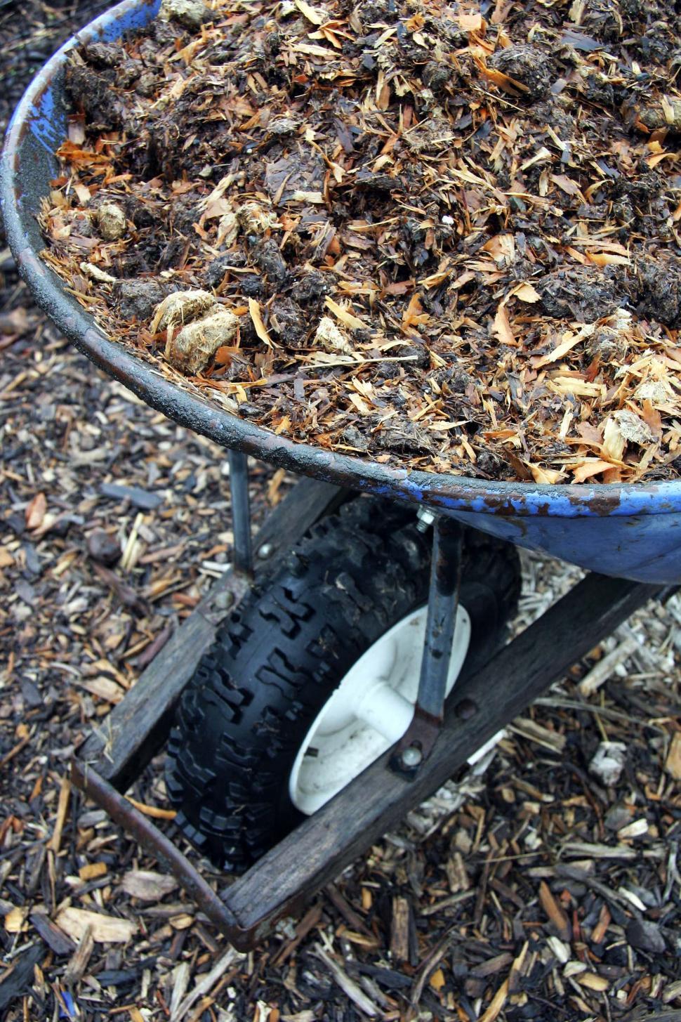 Free Stock Photo of Wheelbarrow Filled With Dirt and Mulch | Download ...