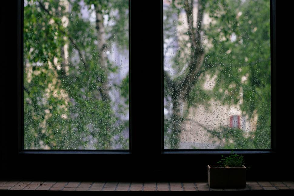 Free Stock Photo of Window With a View of a Tree Outside | Download ...