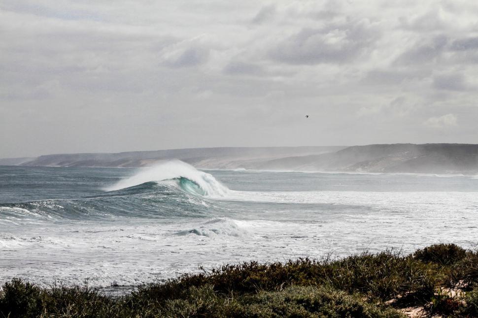 Free Stock Photo of A Wave Breaking in the Ocean | Download Free Images ...