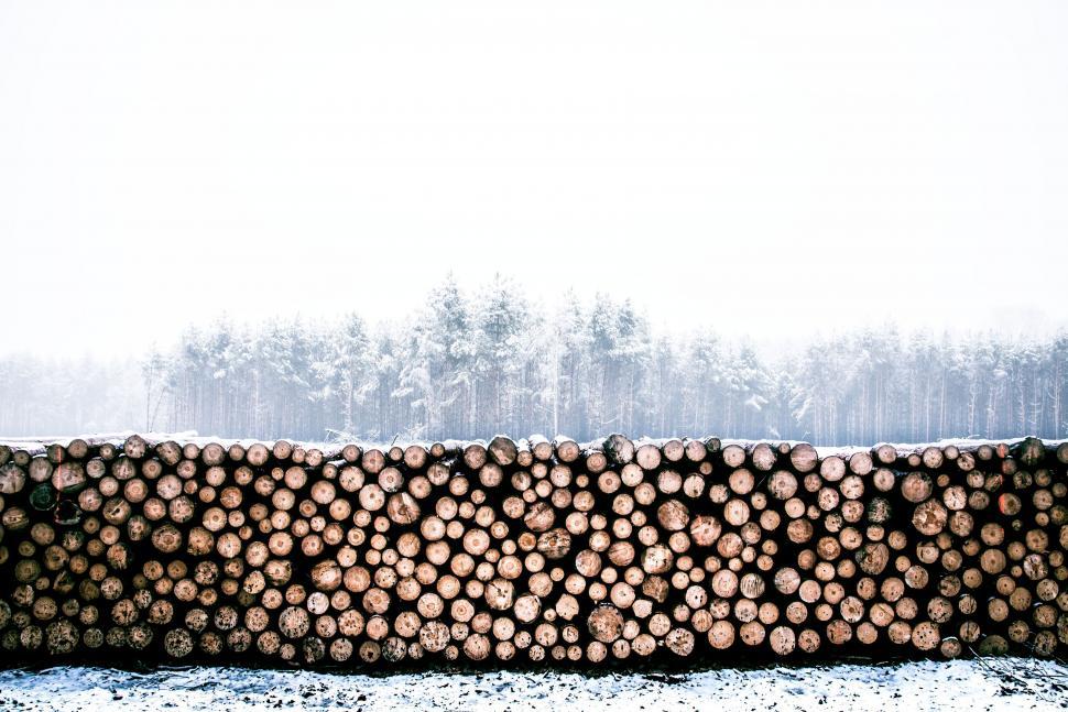 Free Stock Photo of Pile of Logs on Snow Covered Ground | Download Free ...