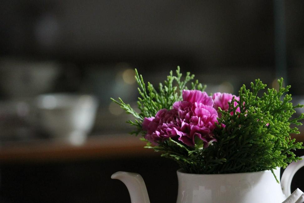 Free Stock Photo of White Pitcher Filled With Purple Flowers on Table ...
