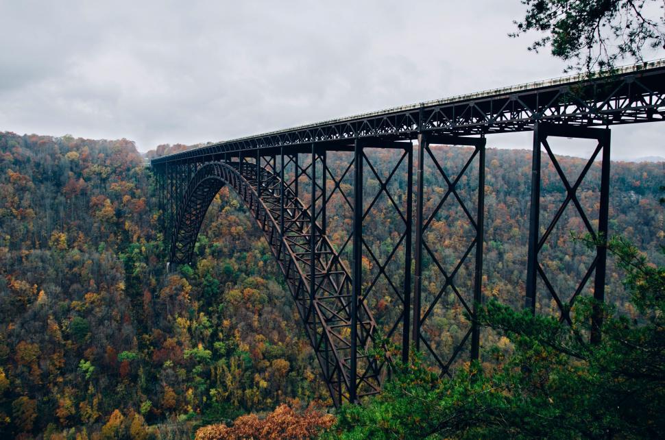 Free Stock Photo of Massive Bridge Crossing Verdant Forest | Download ...