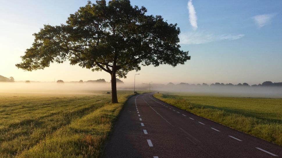 Free Stock Photo of Road With Tree on the Side | Download Free Images ...