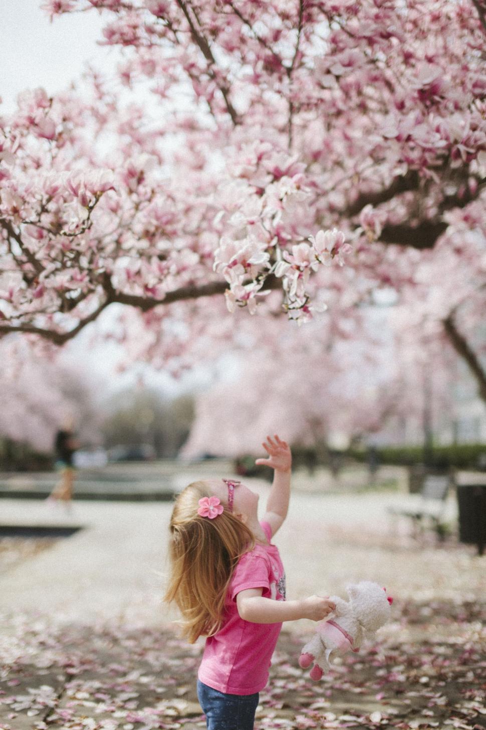 Free Stock Photo of Little Girl in Pink Shirt Throwing Stuffed Animal ...