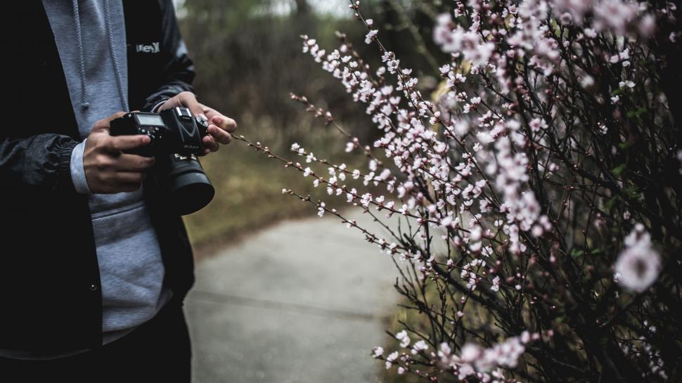 Free Stock Photo of Man Holding Camera Next to Bush | Download Free ...