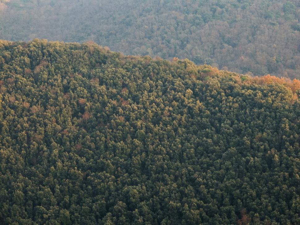 Free Stock Photo of Plane Flying Over Forest With Trees | Download Free ...