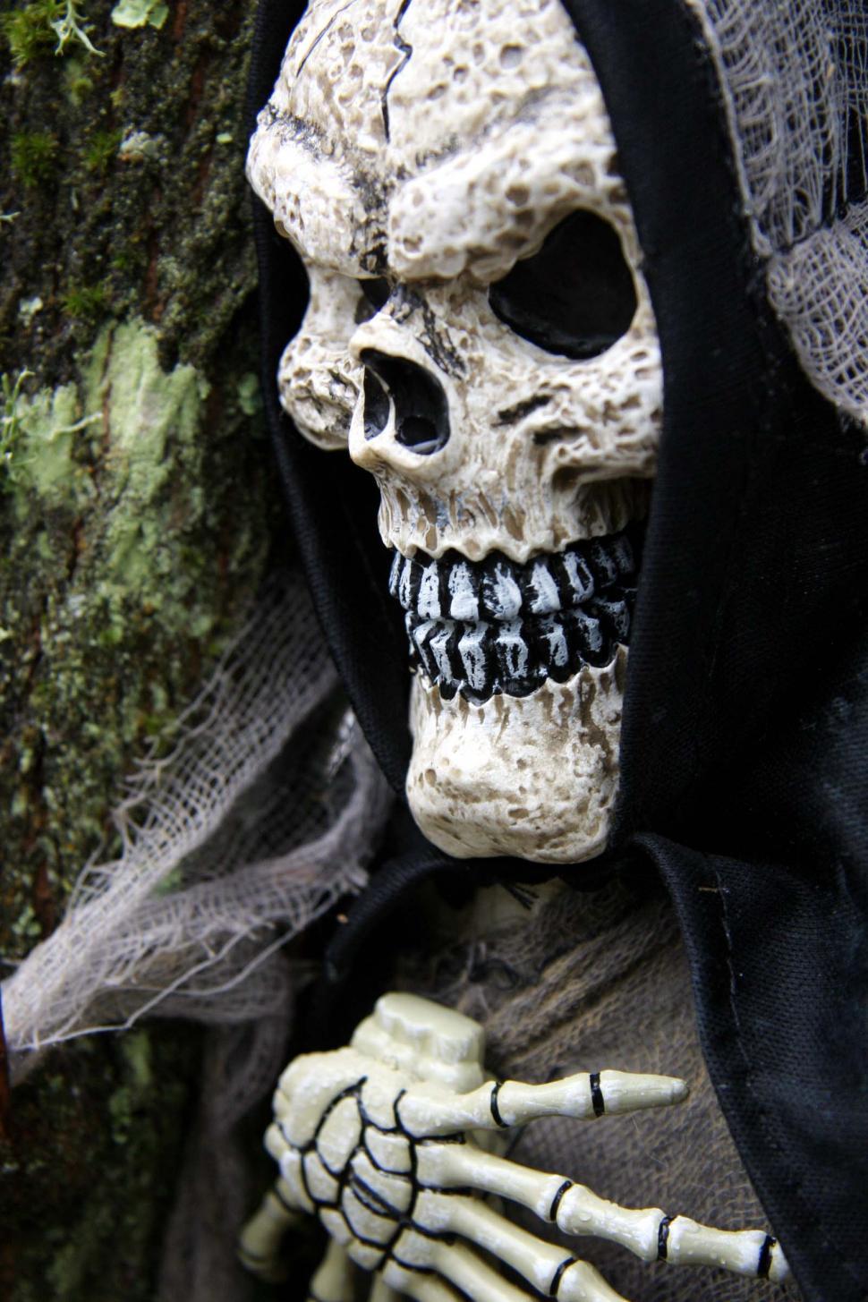 Free Stock Photo of Skeleton Wearing Black Hooded Jacket and Veil ...