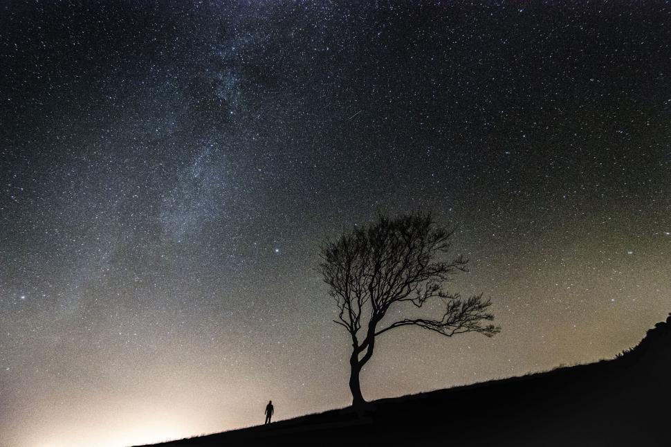 Free Stock Photo of Lone Tree on Hill Under Night Sky | Download Free ...