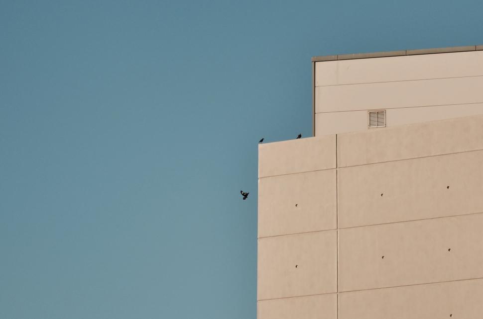 Free Stock Photo of Building With Bird Flying in Sky | Download Free ...