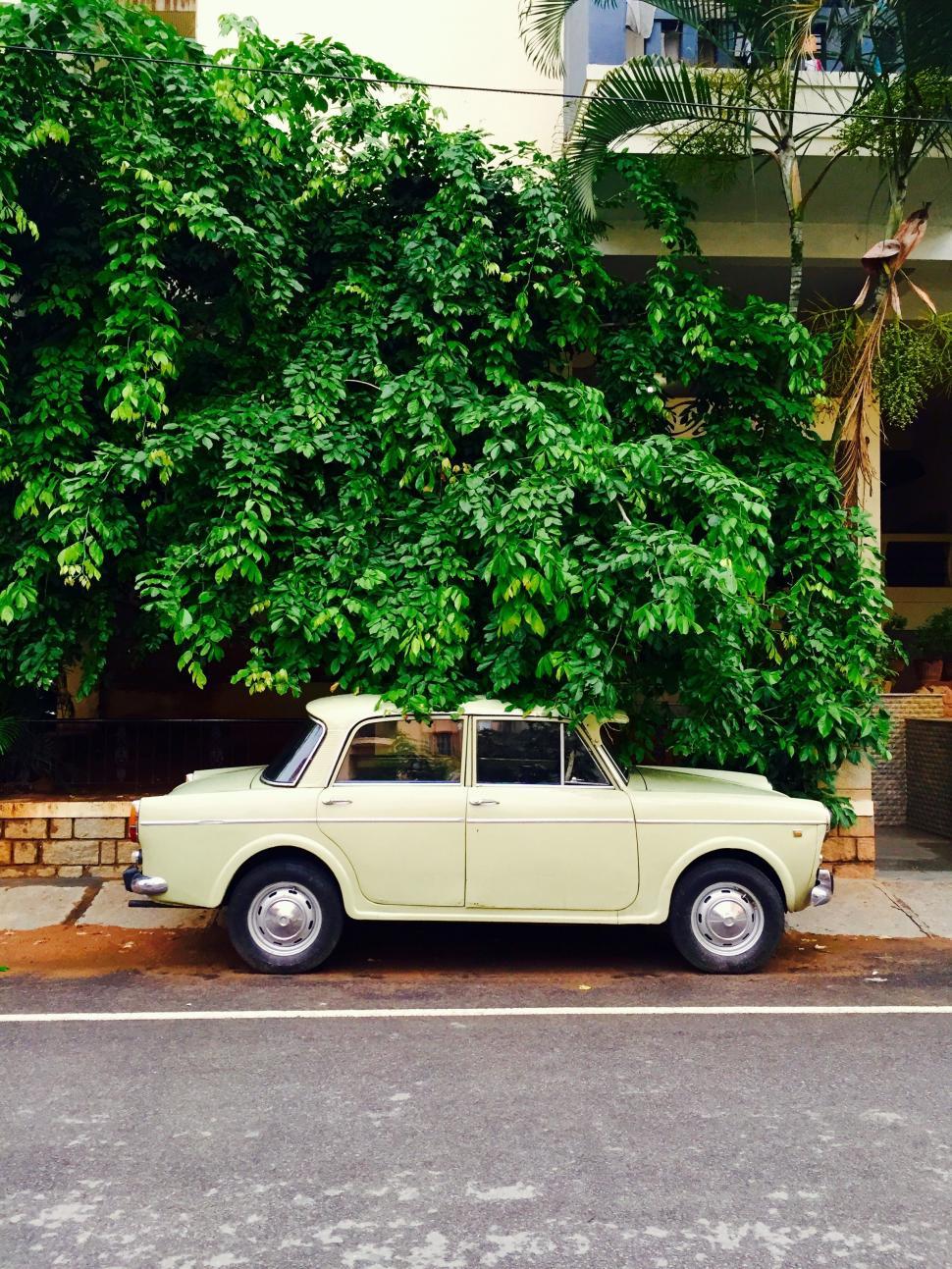 Free Stock Photo of Old Car Parked in Front of Tree | Download Free ...