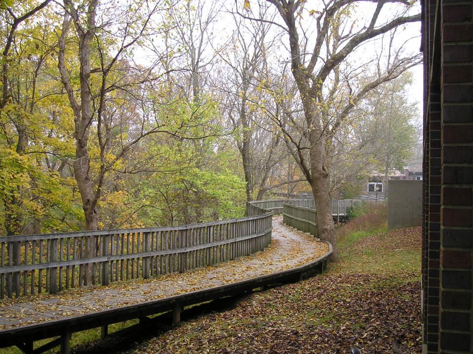 Free Stock Photo of Trail | Download Free Images and Free Illustrations