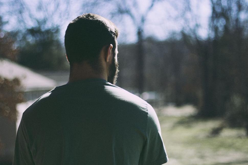 Free Stock Photo of Man Holding Frisbee Standing in Front of Tree ...