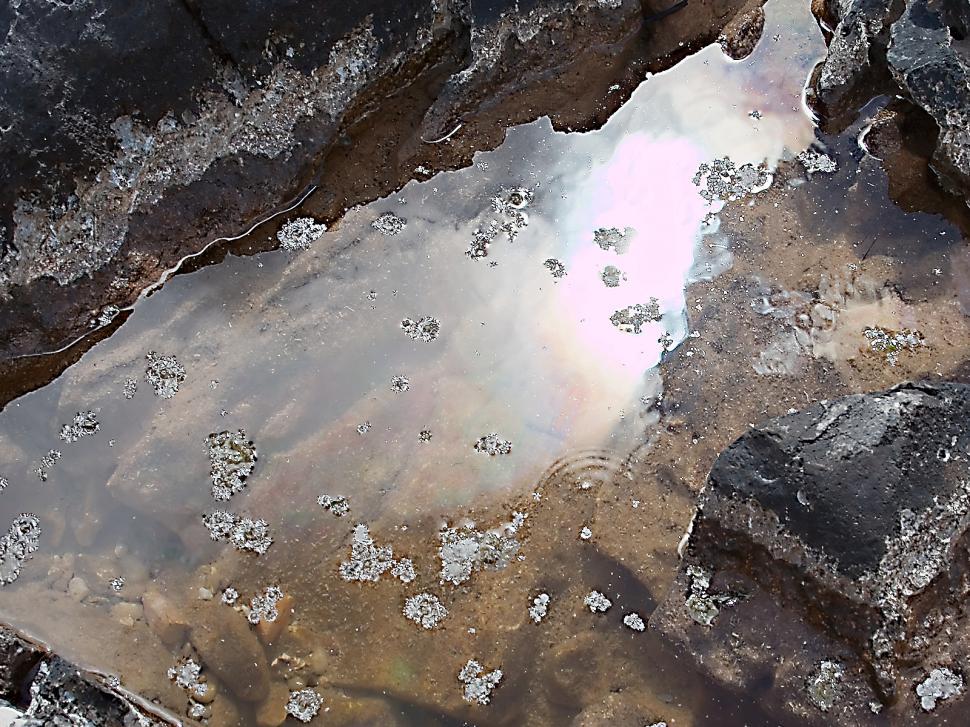 Brine Pools Ocean Floor