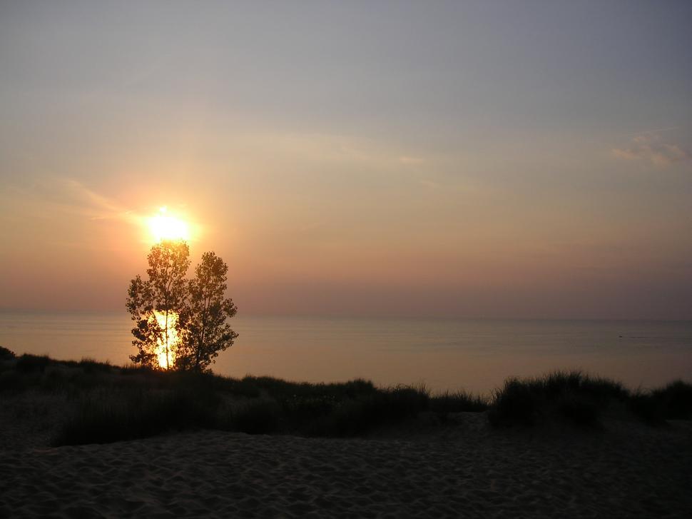 Free Stock Photo of Sunset behind a tree | Download Free Images and ...