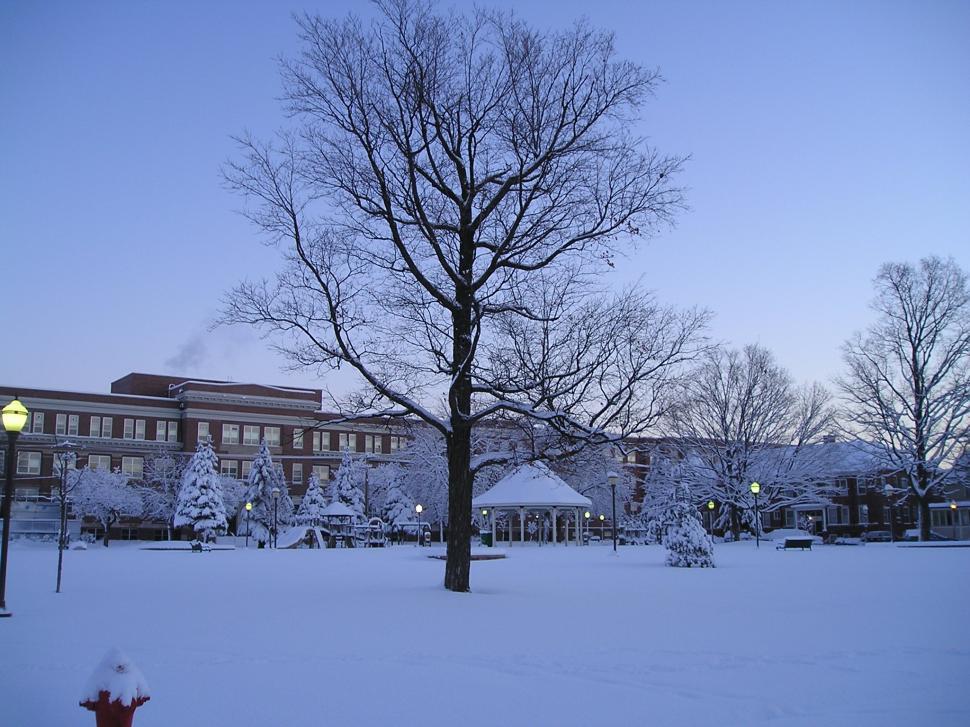 Free Stock Photo of Winter Day | Download Free Images and Free ...