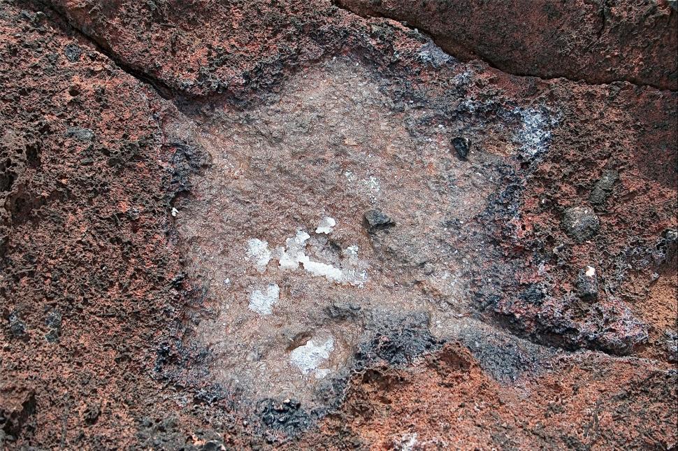 Free Stock Photo of Dry brine pool | Download Free Images and Free ...