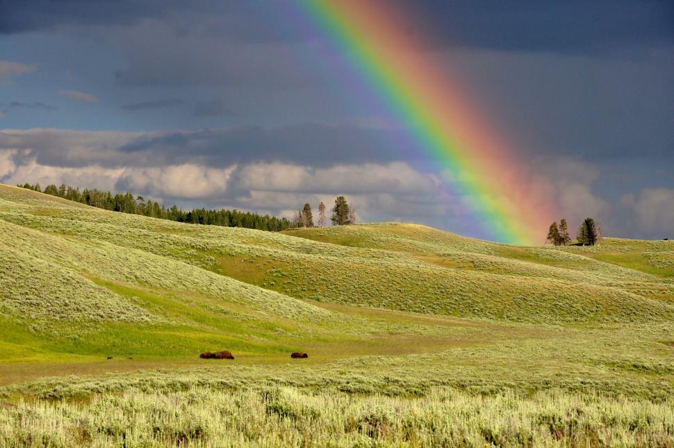 Free Stock Photo of Rainbow in the Sky Over a Grassy Field | Download ...