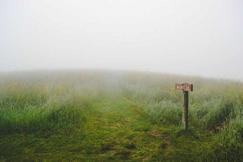 Free Stock Photo of Foggy Field With Sign | Download Free Images and ...
