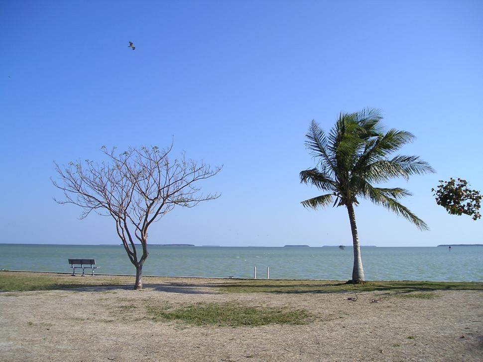 Free Stock Photo of Key Largo | Download Free Images and Free Illustrations