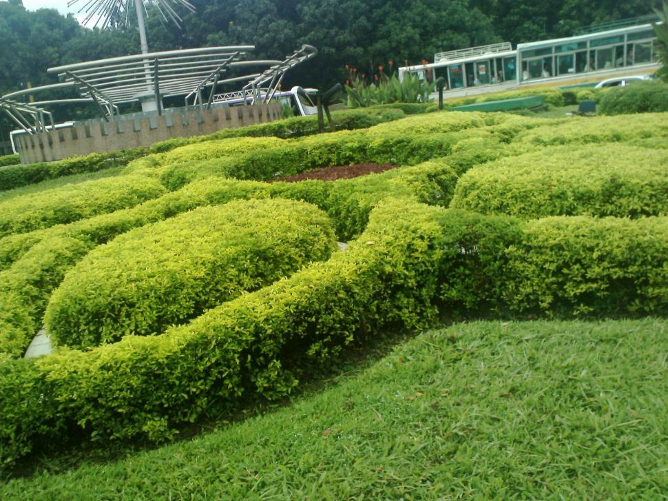 Free Stock Photo of natural garden | Download Free Images and Free ...