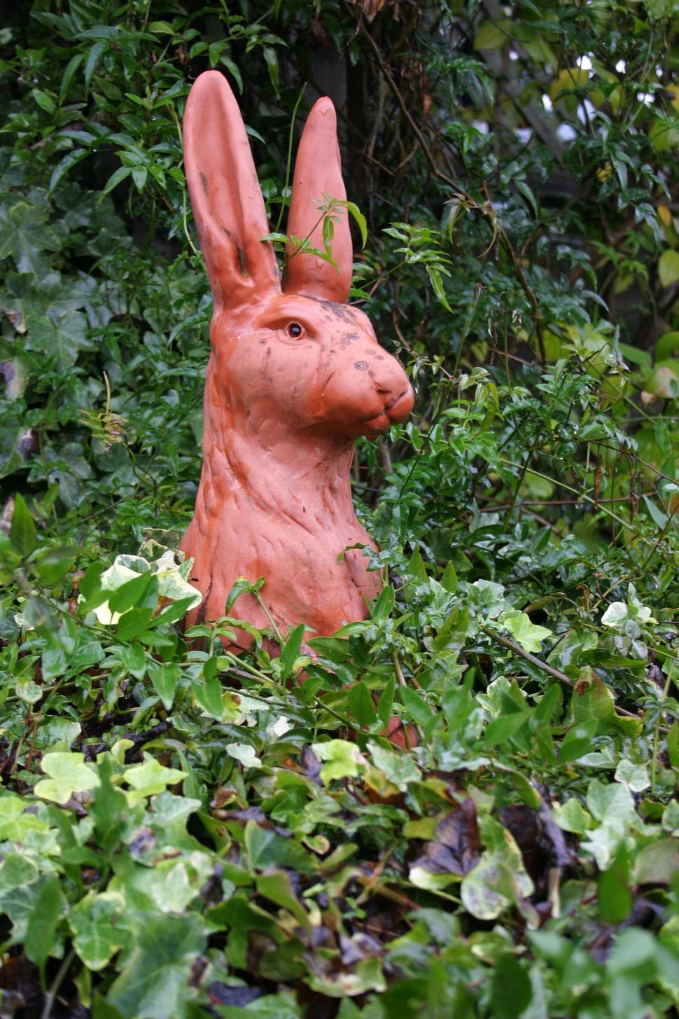 Free Stock Photo of Rabbit Statue Hiding in Bushes | Download Free ...