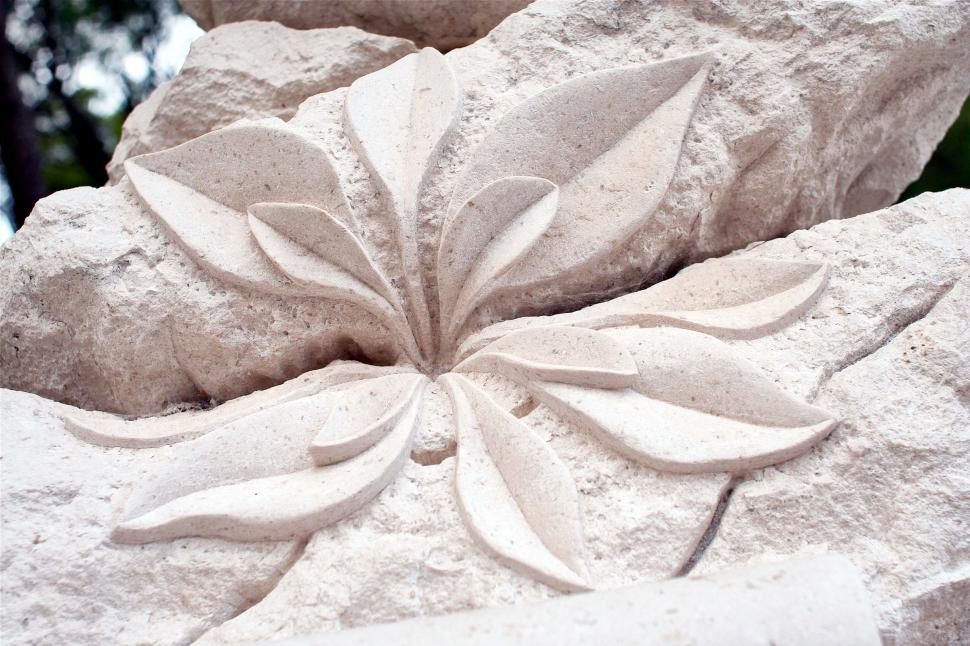 Free Stock Photo of Detail | Download Free Images and Free Illustrations