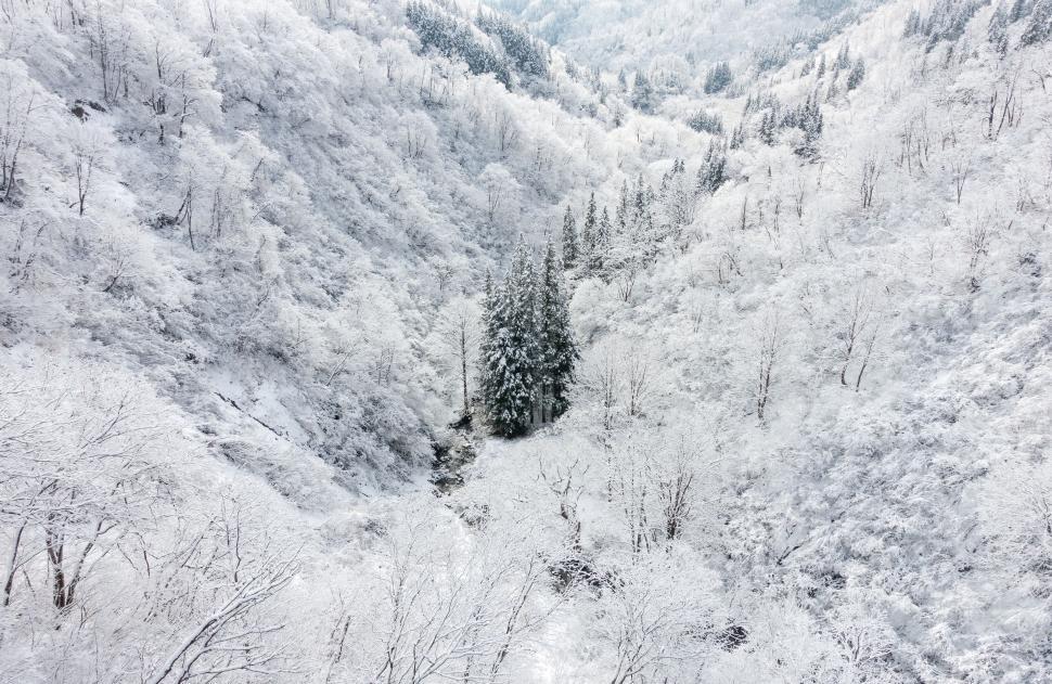 Free Stock Photo of Nature snow ice crystal winter cold slope landscape ...