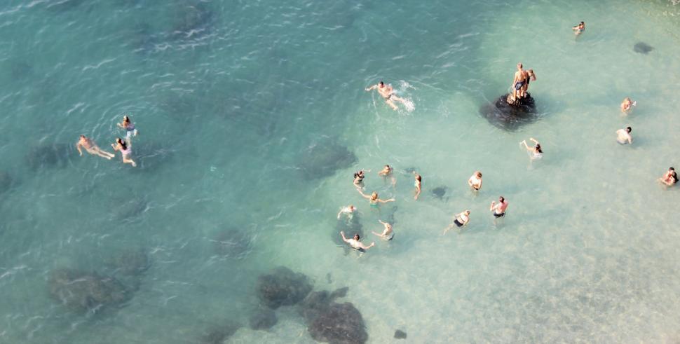 Free Stock Photo of Group of People Swimming in the Ocean | Download ...
