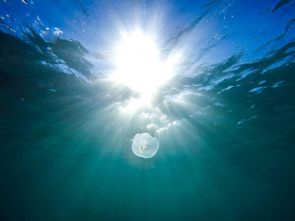 Free Stock Photo of Sun Shines Brightly Through the Water | Download ...