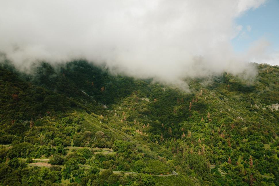 Free Stock Photo of Mountain Covered in Green Trees Under Cloudy Sky ...