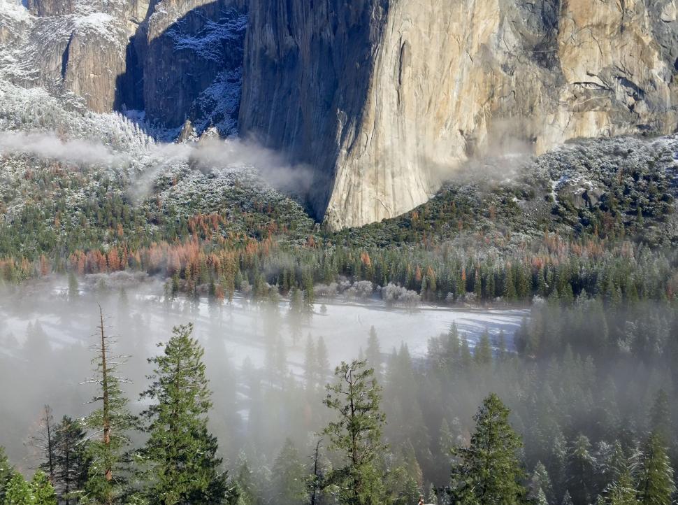 Free Stock Photo of Nature waterfall valley river forest water ...