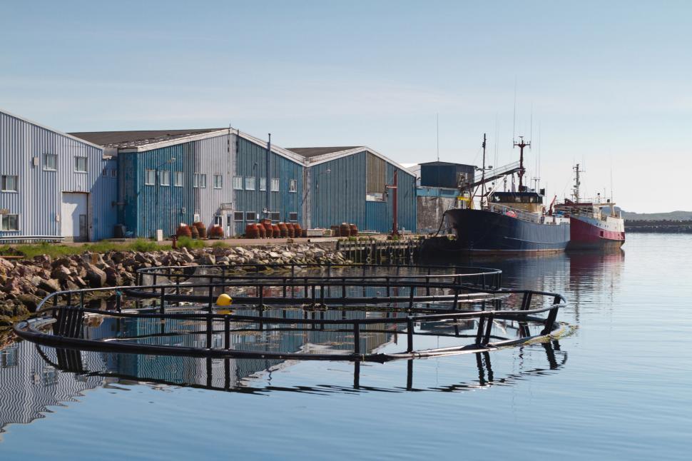 Free Stock Photo of Fish Pens | Download Free Images and Free Illustrations