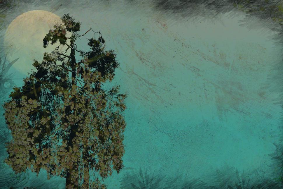 Free Stock Photo of Moon Tree | Download Free Images and Free Illustrations