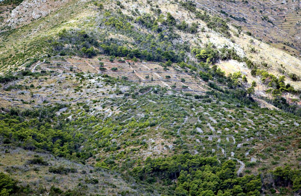 Free Stock Photo of Landscape | Download Free Images and Free Illustrations