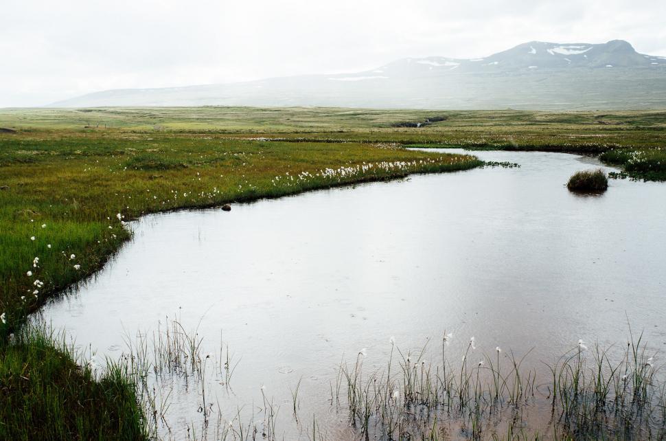 Free Stock Photo of Small Pond in Grassy Field | Download Free Images ...