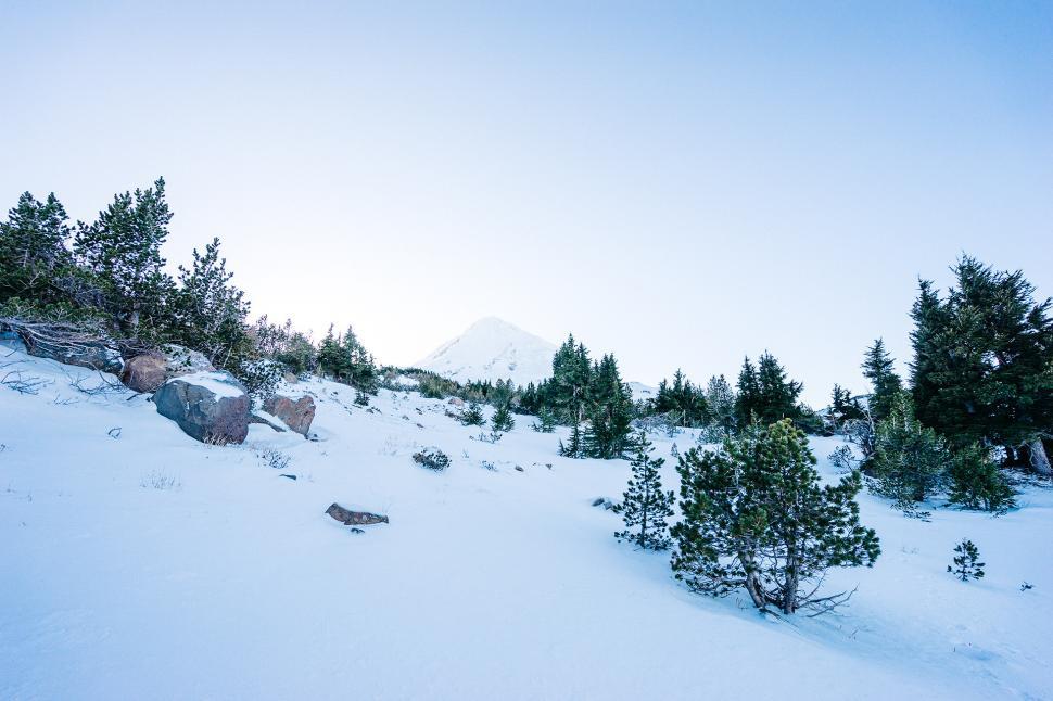 Free Stock Photo of Snow Covered Hill With Trees and Rocks | Download ...