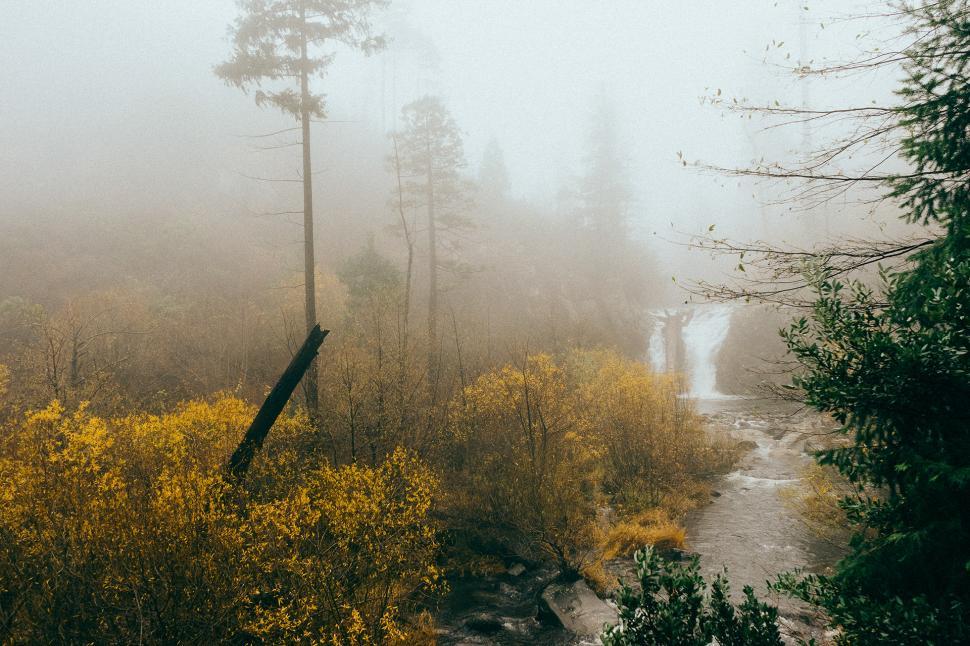 Free Stock Photo of sky spring rocket landscape | Download Free Images ...