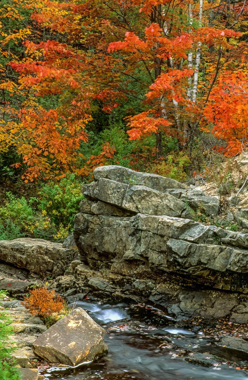 Free Stock Photo of Fall foliage colors and stream | Download Free ...