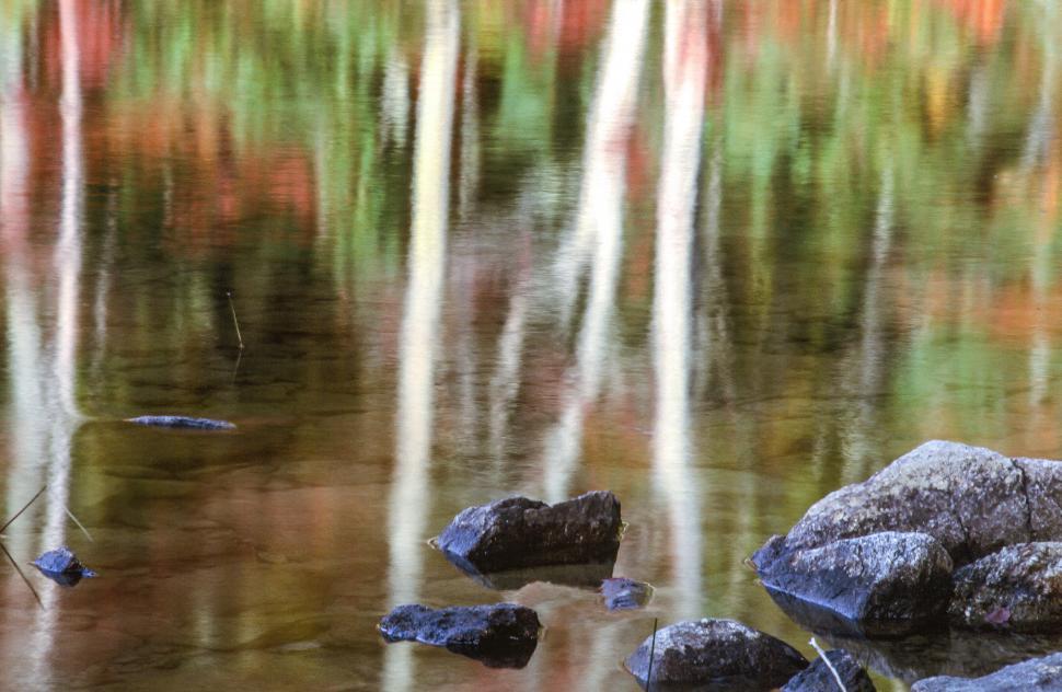 Free Stock Photo of Reflection on Lake | Download Free Images and Free ...