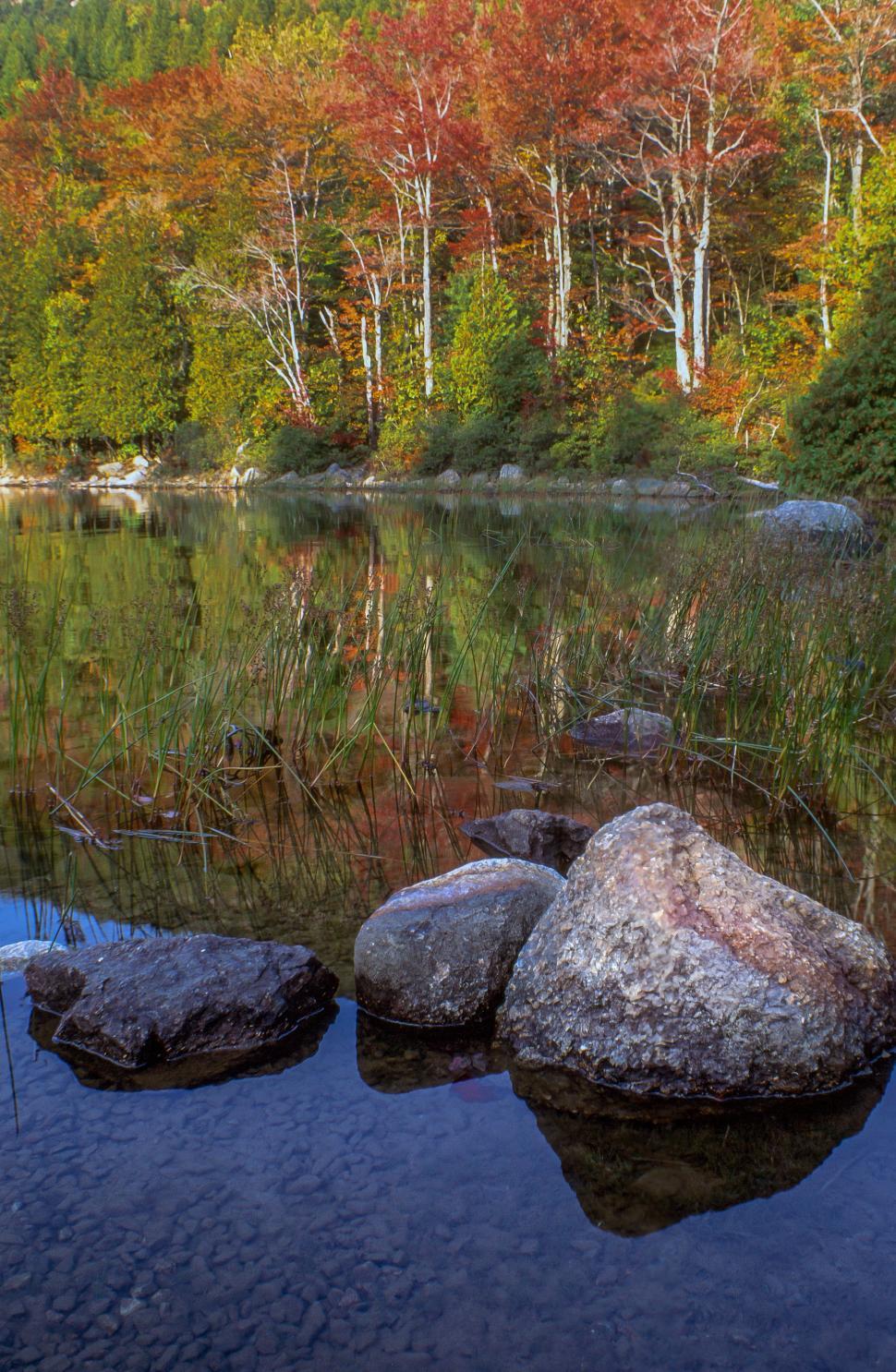 Free Stock Photo of View of Autumn shoreline | Download Free Images and ...
