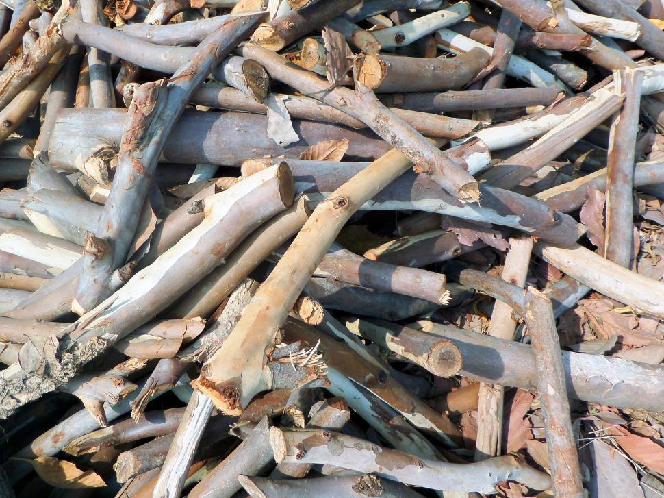 Free Stock Photo of Kindling | Download Free Images and Free Illustrations