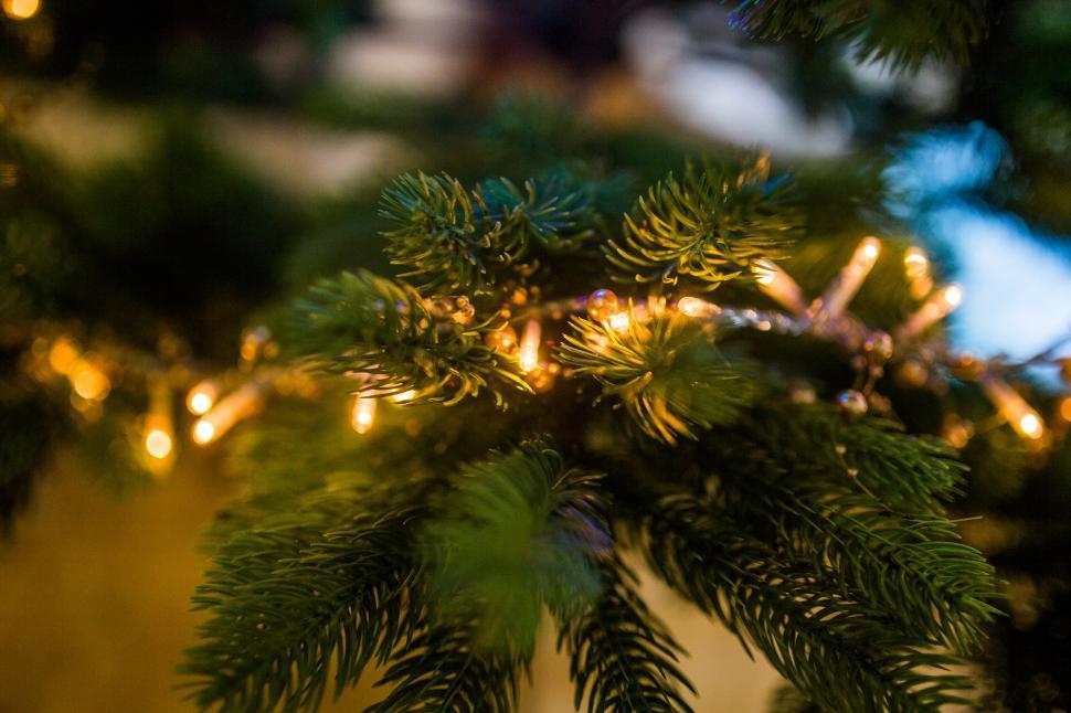 Free Stock Photo of Close Up of a Christmas Tree With Lights | Download ...