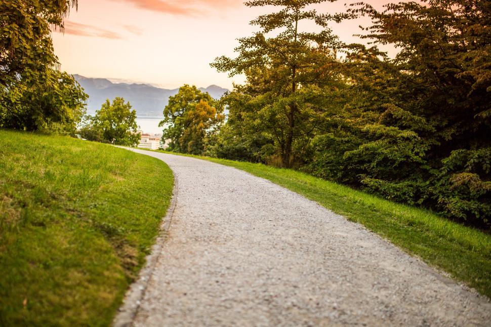 Free Stock Photo of A Path Amidst a Lush Green Field | Download Free ...