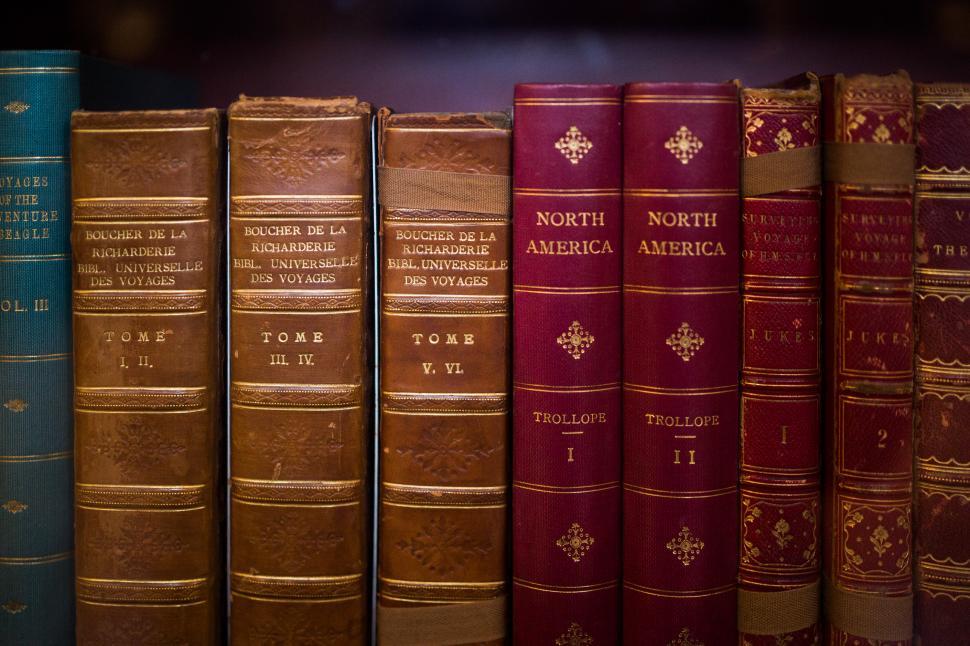 Free Stock Photo of Row of Books on Shelf | Download Free Images and ...