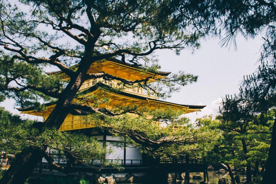 Free Stock Photo of Tall Yellow Building in Forest | Download Free ...