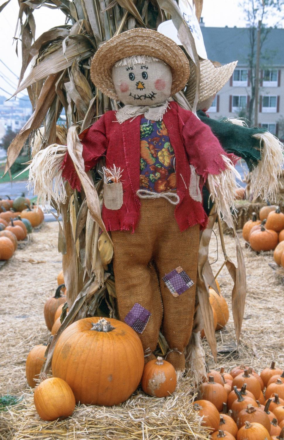 Free Stock Photo of Scarecrow | Download Free Images and Free Illustrations