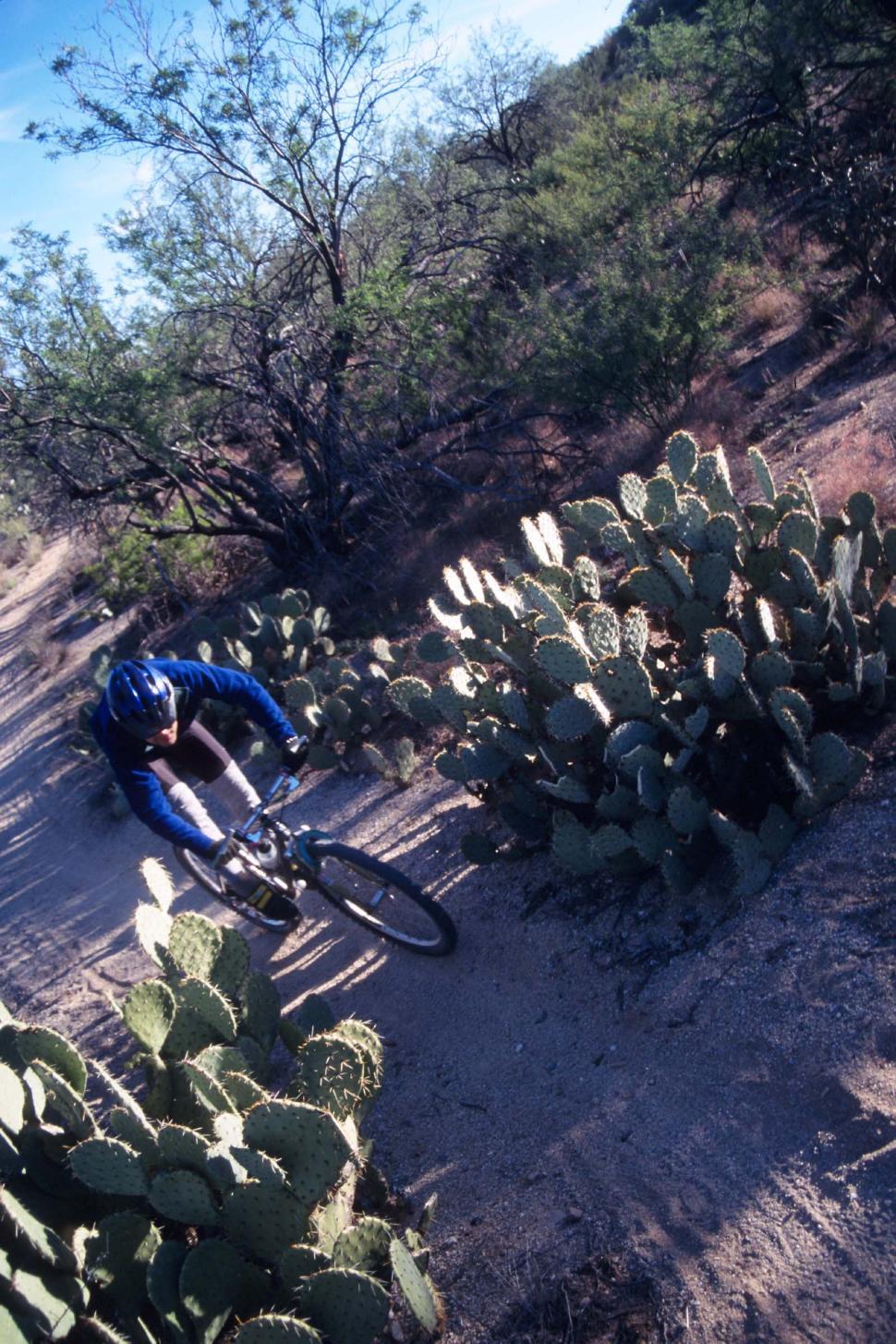 Free Stock Photo of Singletrack trail | Download Free Images and Free ...
